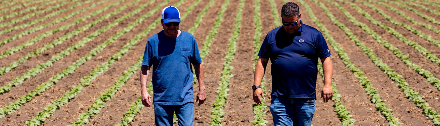 Home - CHS Ag Services