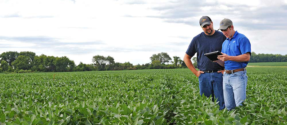 Agronomy - CHS Ag Services