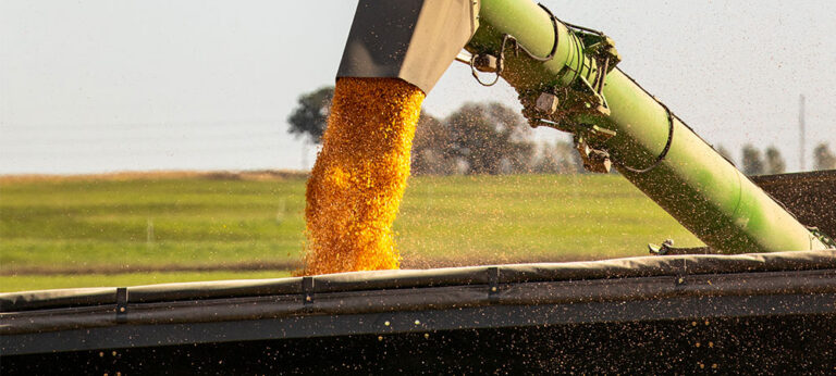 Grain - CHS Ag Services